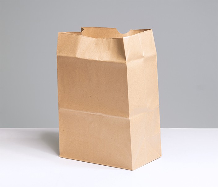 Large Size Paper Sacks - W. Ralston (Canada) Inc.